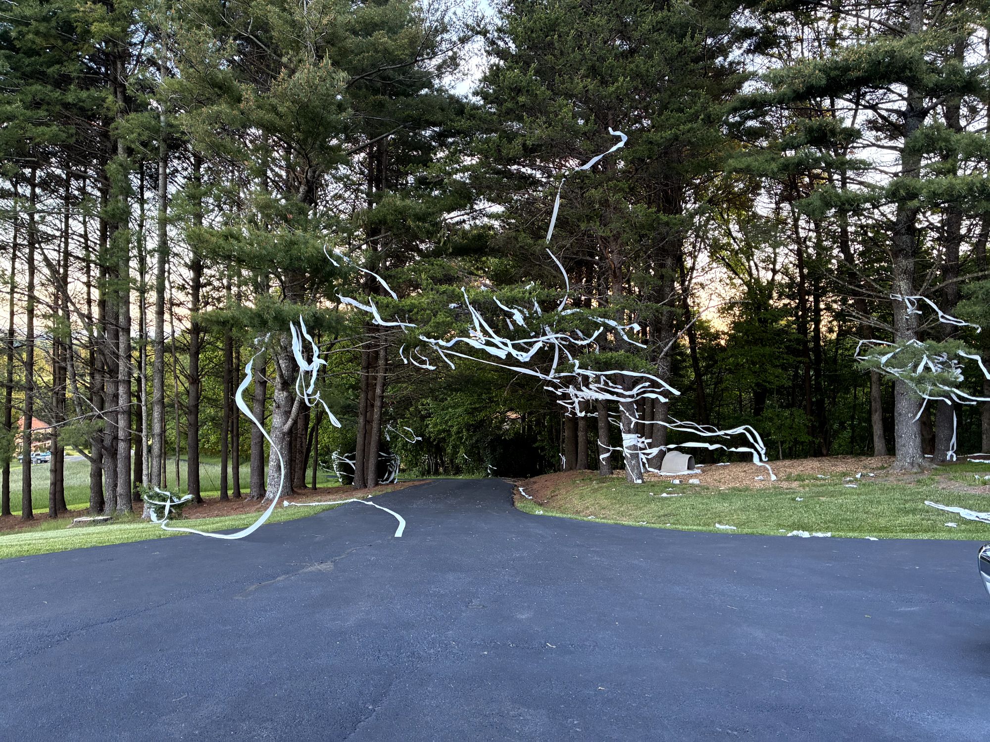 Odd things took place in our quiet Hamlet of Laurel Fork last night 🌙 ...